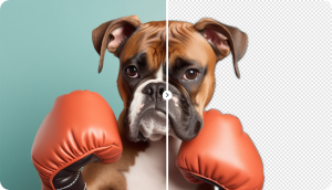 AI Bg Eraser - AI remove background from image online free